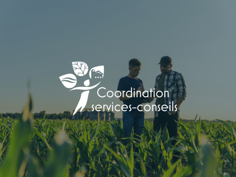 Website Redesign for Coordination Services-Conseils | Vortex Solution