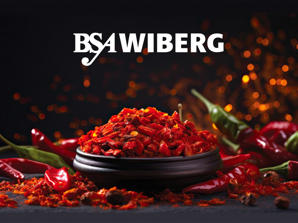 Lancement du nouveau site web de BSA Wiberg Canada | Vortex Solution