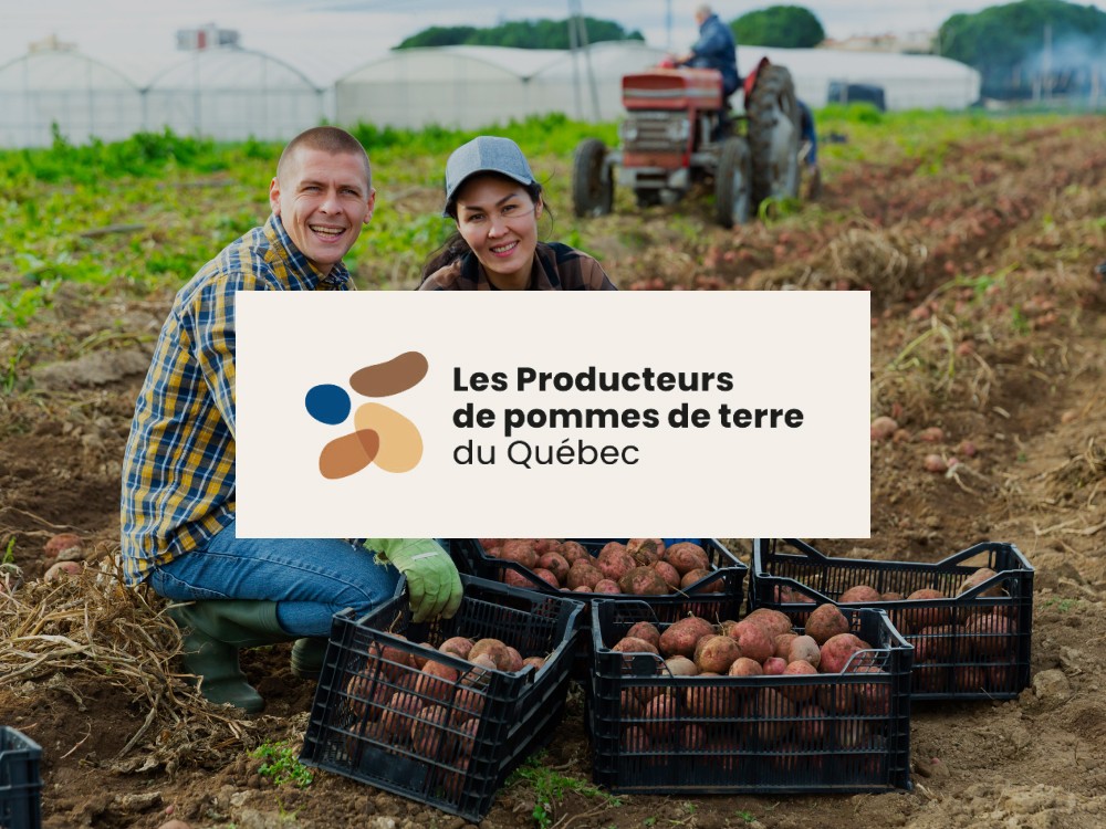 Quebec Potato Producers | Réalisation par Vortex Solution